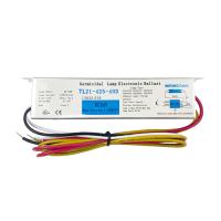 China UV Germicidal Lamp Electronic Ballast 24V DC 20-55W 0.43A for Air Disinfection for sale