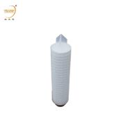 China Multilayer Absolute PP Pleated Filter Element 10 Inch for Compressed Air for sale