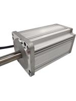 China 80mm Brushless DC Motor for Chenille Spinning Machine 48V 3000RPM Double Shaft for sale