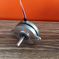 China Nema 14 36HM Stepper Motor 0.9 Degree 5V 0.5A 1000g.cm 4 Wire CNC for sale
