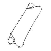 China Industrial Grade Heat Exchanger Gasket for Challenging Environments for sale