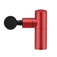 China Custom Zinc Die Casting Precision Injection Molding Spray Painting Beauty Instrument Metal Accessories 0.5mm for sale