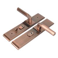 China Kirsite Die Casting Precision Injection Molding Mirror Polishing Door Lock Shell Accessories 0.05mm Accuracy for sale
