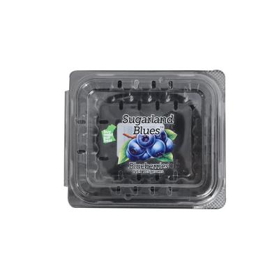 China PET Transparent Food Packaging Box Injection Mold with 1500-Ton Equipment and Multiple Surface Finish Options for sale