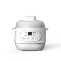 China Custom Plastic Injection Molded Mini Electric Rice Cooker 1500 Ton Capacity for sale