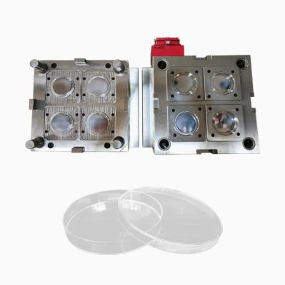 China OEM Two-Color Plastic Injection Molding Service with 10+ Material Options and Custom Manufacturing Solutions for sale