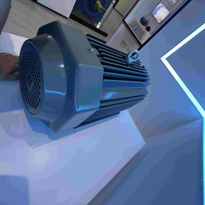 China Dust Proof ISO9001 High Efficiency Electric Motor 0.12-800kW for Remedy Apparatus for sale