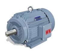 China Wannan Motor YE3 IE3 450V Three Phase AC Electric Motor 0.12-800kW Frame 63-450mm for sale