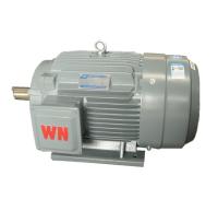 China Wannan Motor YE3 IE3 450V Three Phase AC Electric Motor 0.12-800kW Frame 63-450mm for sale