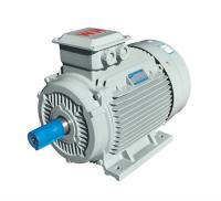 China High Efficiency Alternating Current Motor IE3 IE4 IE5 Cast Aluminium for sale