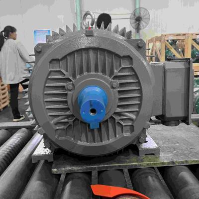 China Accurate Braking High Efficiency Electric Motor With ISO9001 for sale