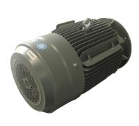 China 300HP IE3 Steel High Efficiency Electric Motor 3000RPM 380V 50Hz Industrial for sale