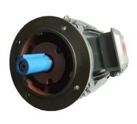 China 300HP IE3 Steel High Efficiency Electric Motor 3000RPM 380V 50Hz Industrial for sale