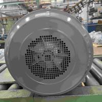 China Alumninum High Efficiency Electric Motor With NEMA Premium for sale