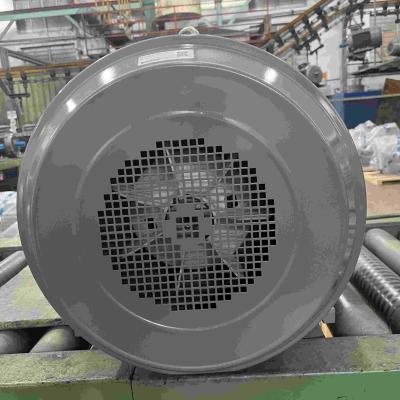 China Alumninum High Efficiency Electric Motor With NEMA Premium for sale