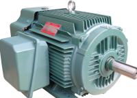 China Explosion Proof IE3 IE4 IE5 High Efficiency Electric Motor 380V 0.12-800kW for Hazardous Fumes for sale