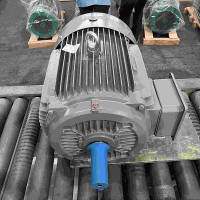 China Small Size High Efficiency Electric Motor for Refrigerator 0.12-800kW 380V for sale