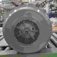 China Explosion Proof IE3 IE4 IE5 High Efficiency Electric Motor 380V 0.12-800kW for Hazardous Fumes for sale