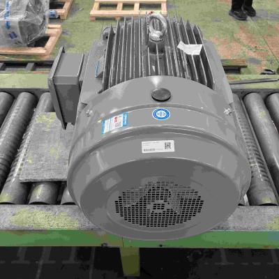 China Carbon Steel High Efficiency 3 Phase Asynchronous Motor IE3 IE4 IE5 380V 0.12-800kW for sale