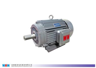 China High Efficiency IE3 IE4 Three Phase Asynchronous Motor 0.12-800kW 380V for Medical Instruments for sale