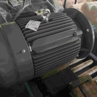 China Explosion Proof IE3 IE4 IE5 3 Phase Electric Motor 0.12-800kW 380V For Cement Kiln for sale