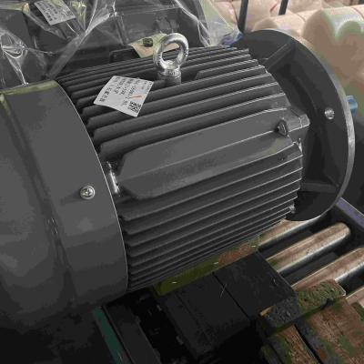China Explosion Proof IE3 IE4 IE5 3 Phase Electric Motor 0.12-800kW 380V For Cement Kiln for sale