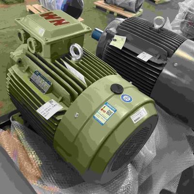 China Explosion Proof IE3 3 Phase High Efficiency Electric Motor 380V 50Hz for Construction for sale