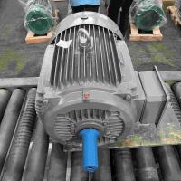 China Low RPM High Efficiency Electric Motors For Packing Machinery for sale