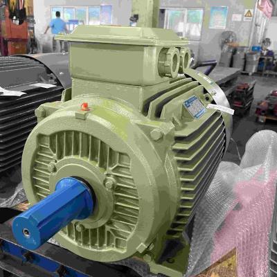 China Simple Structure High Efficiency Electric Motors For Transport Machinery for sale