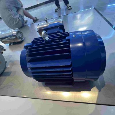 China AC 50Hz Customized Voltage High Efficiency Electric Motors 0.12-800kW for Machine Tools for sale