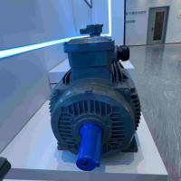 China Cast Iron Low Power High Efficiency Electric Motors For Conveyors for sale