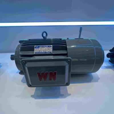 China Explosion Proof Single Phase Electric Motor 0.12-3.7kW 110-240V for Storage Facilities for sale