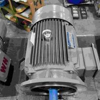 China 220V Single Phase Electric Motor 0.12-3.7kW for Woodworking Machinery for sale