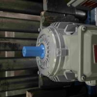 China Low Noise Single Phase Electric Motors 50/60Hz High Efficient for sale