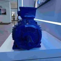 China IP65 Water Resistant Three Phase Induction Electric Motor 6kV 10kV NEMA Premium for sale