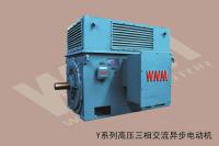 China IE4 Three Phase Electric Motor Speed Control High Voltage ISO9001 for sale