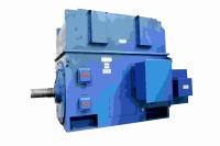 China 10kV Variable Speed High Voltage Induction Motor 185-8000kW 3C Certified for sale