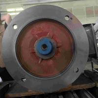 China Three Phase 6KV High Voltage Induction Motor 185-8000kW Quick Stop for sale