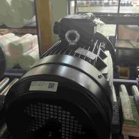 China Dust Proof Three Phase High Voltage Induction Motor 6kV 10kV IP55 185-8000kW for sale