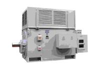 China Dust Proof Three Phase High Voltage Induction Motor 6kV 10kV IP55 185-8000kW for sale
