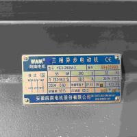 China IP65 Three Phase Electric Motor 0.18-220kW 380V for Pharmaceutical Use for sale