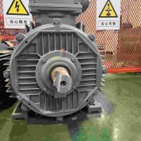 China IP65 Water Resistant Three Phase Electrical Motor For Vapor Area for sale