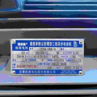 China 6KV IE3 Three Phase High Efficiency Electric Motor For Transport Machinery for sale