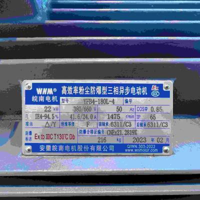 China 6KV IE3 Three Phase High Efficiency Electric Motor For Transport Machinery for sale