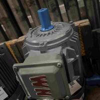 China Cast Iron Three Phase Low Voltage Electric Motor with Fixed Frequency for sale
