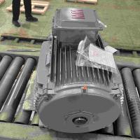 China IP65 Three Phase Electric Motor 0.18-220kW 380V for Pharmaceutical Use for sale