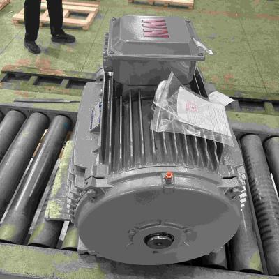 China IP65 Three Phase Electric Motor 0.18-220kW 380V for Pharmaceutical Use for sale