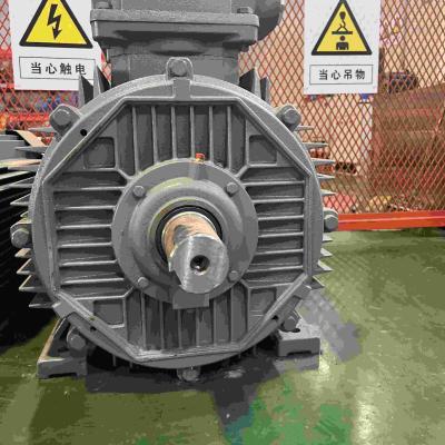 China 15KW IE3 Three Phase Electric Motor for Conveyors 380V 50Hz Cast Iron for sale