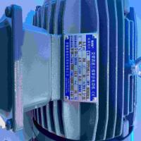 China 15KW IE3 Three Phase Electric Motor for Conveyors 380V 50Hz Cast Iron for sale