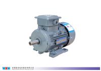 China IE3 300HP Three Phase Electric Motor 380V 50Hz for Crushers Cast Iron Frame for sale